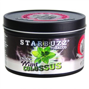 STARBUZZ スターバズ